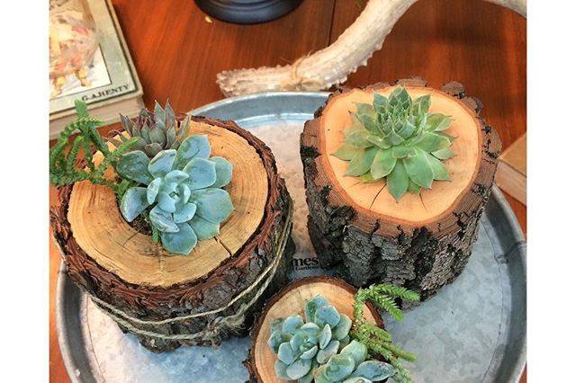 Branching Elements - Reviews, Photos & Deals 2026 - Roseville, CA ...