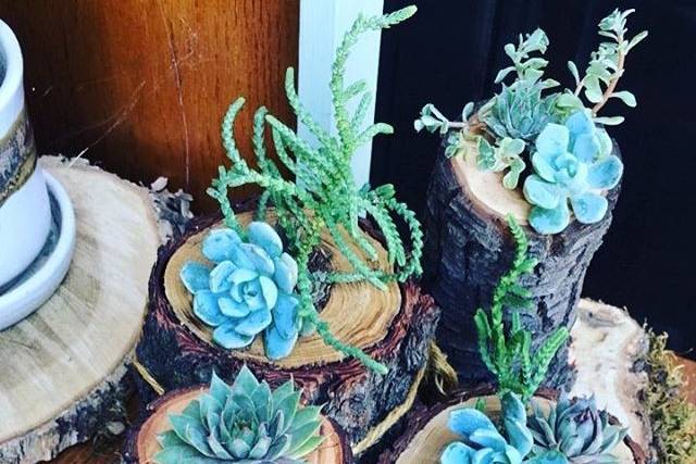 Branching Elements - Reviews, Photos & Deals 2026 - Roseville, CA ...
