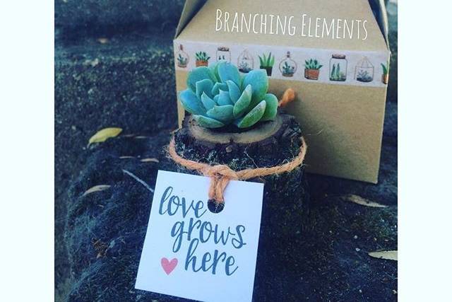 Branching Elements - Reviews, Photos & Deals 2026 - Roseville, CA ...