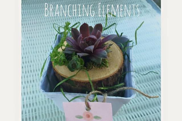 Branching Elements - Reviews, Photos & Deals 2026 - Roseville, CA ...
