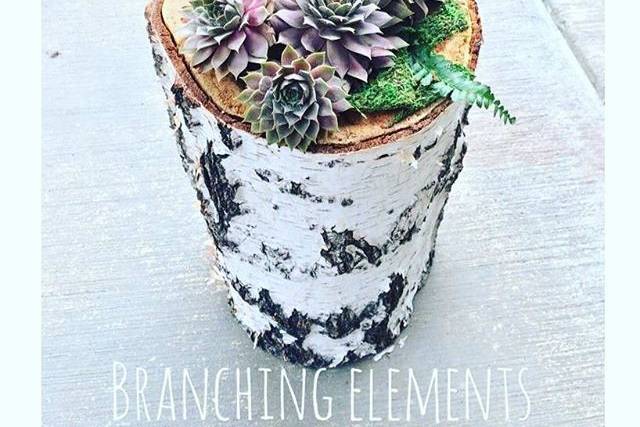Branching Elements - Reviews, Photos & Deals 2026 - Roseville, CA ...