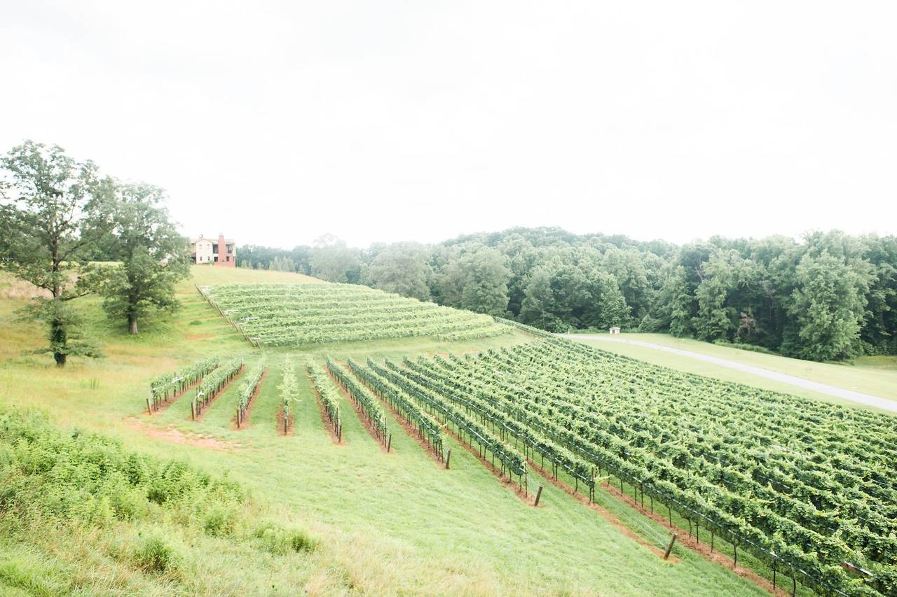 Montaluce Winery - Winery Weddings - Dahlonega, GA - WeddingWire