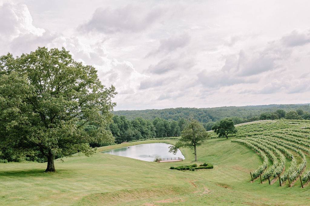 Montaluce Winery - Winery Weddings - Dahlonega, GA - WeddingWire