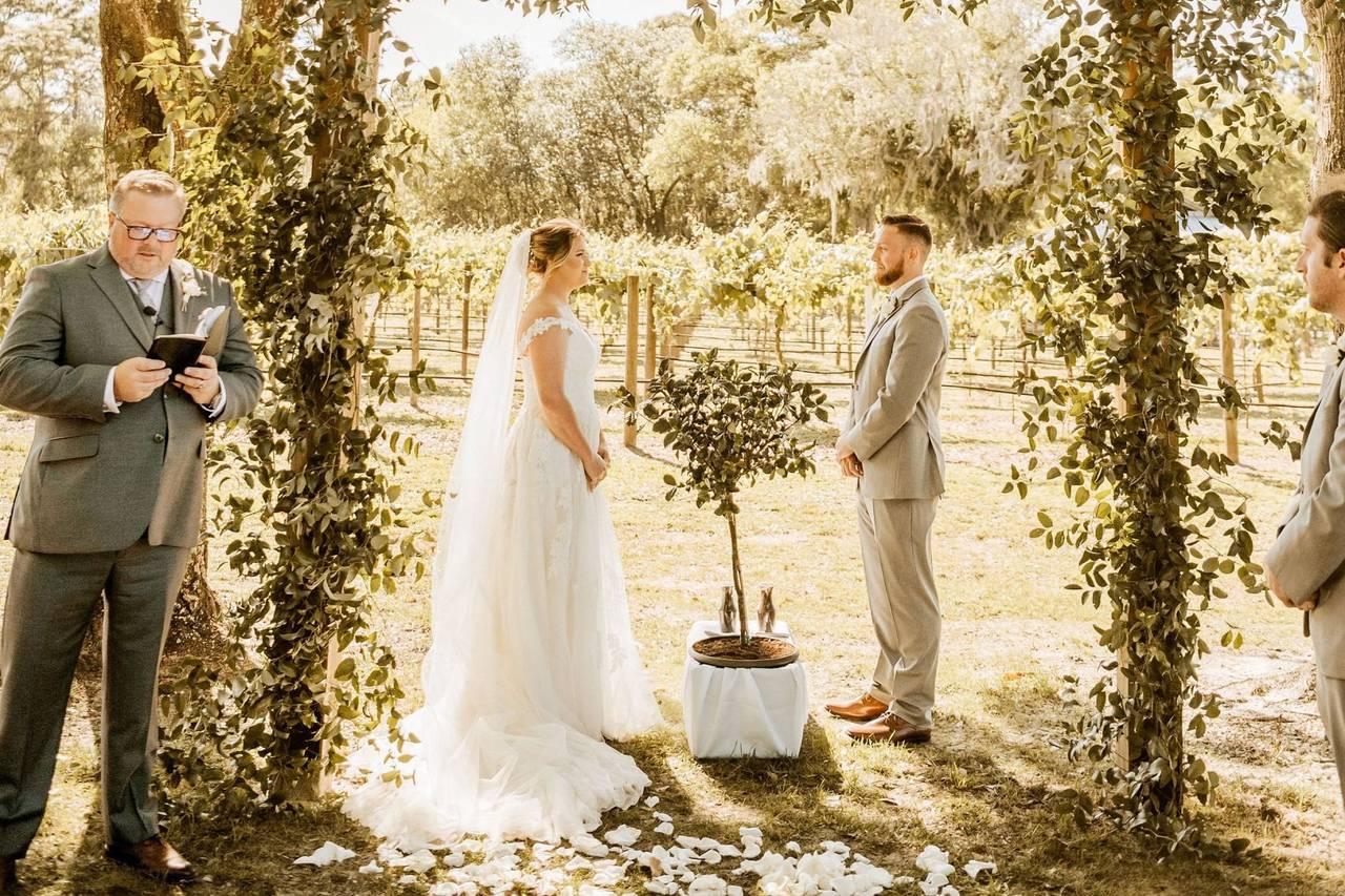 Fiorelli Winery - Reviews, Photos & Deals 2026 - Bradenton, FL ...