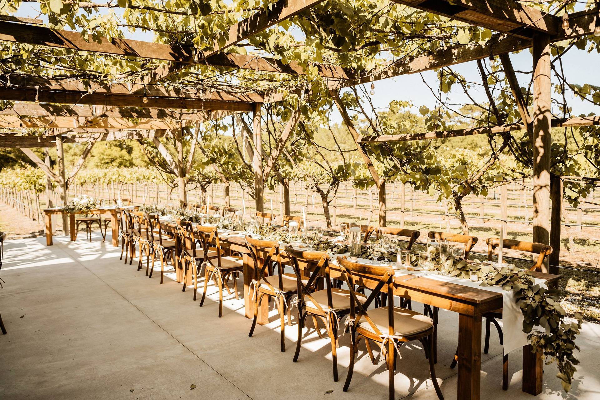 Fiorelli Winery - Reviews, Photos & Deals 2026 - Bradenton, FL ...