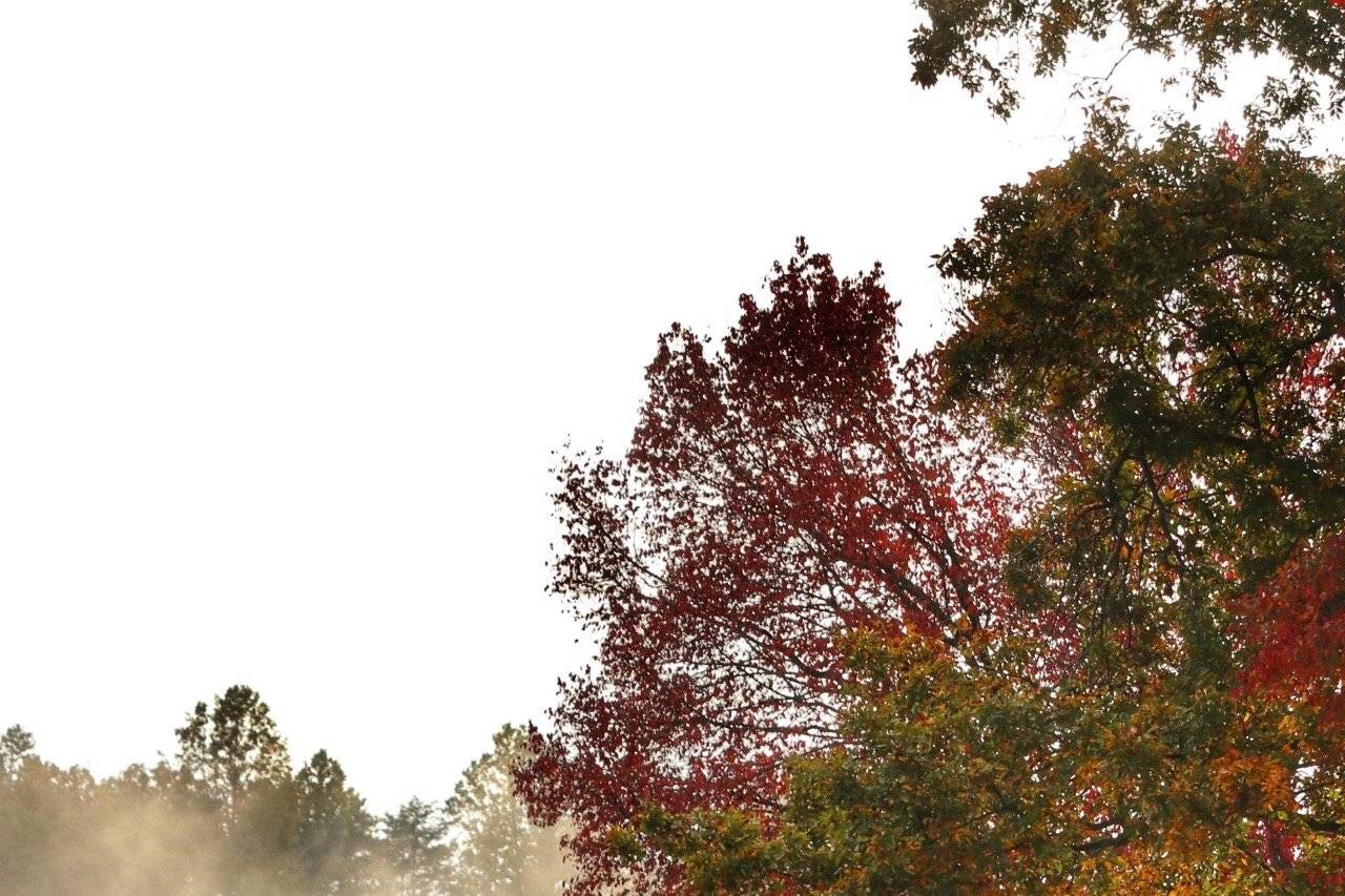 Lovingston Winery - Venue - Lovingston, VA - WeddingWire