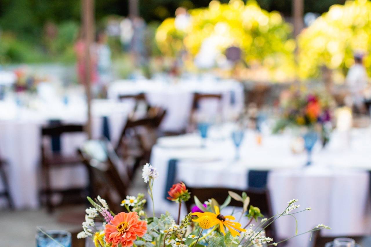 Vanda Floral Design - Reviews, Photos & Deals 2026 - Petaluma, CA ...