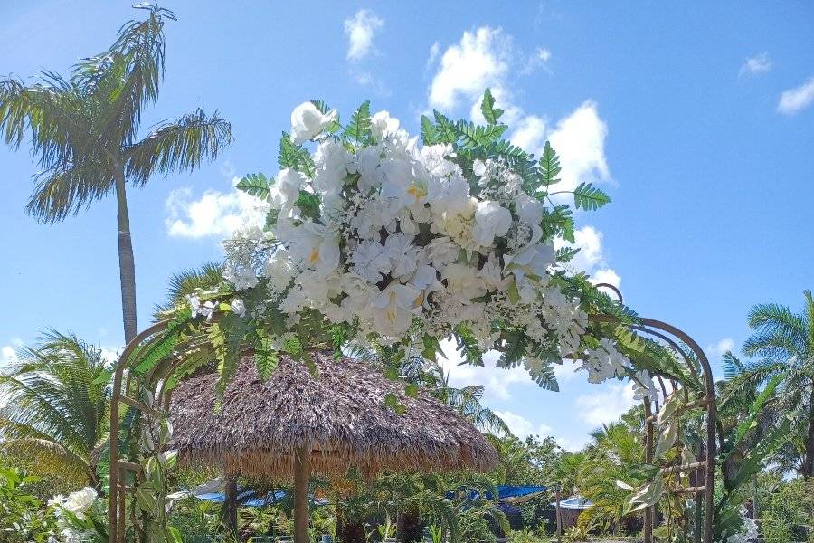 Blue Lagoon Farm Miami - Reviews, Photos & Deals 2026 - Homestead, FL ...