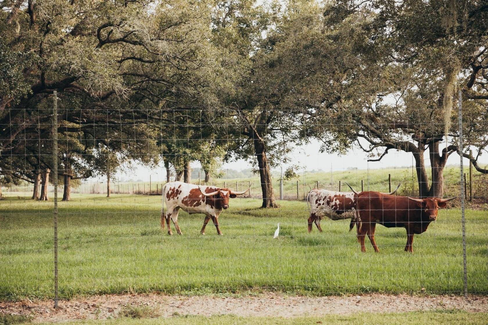 Hidden Oaks Events - Reviews, Photos & Deals 2026 - Angleton, TX ...