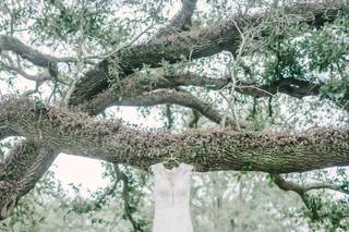 Hidden Oaks Events - Reviews, Photos & Deals 2026 - Angleton, TX ...