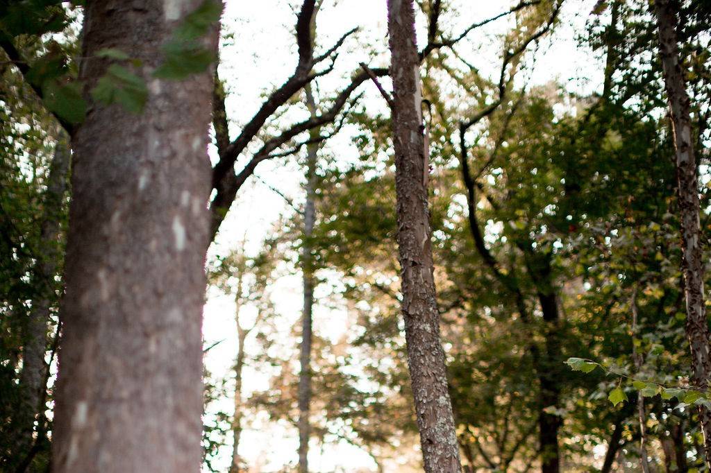 JuneBug Retro Resort - Reviews, Photos & Deals 2026 - Weaverville, NC ...