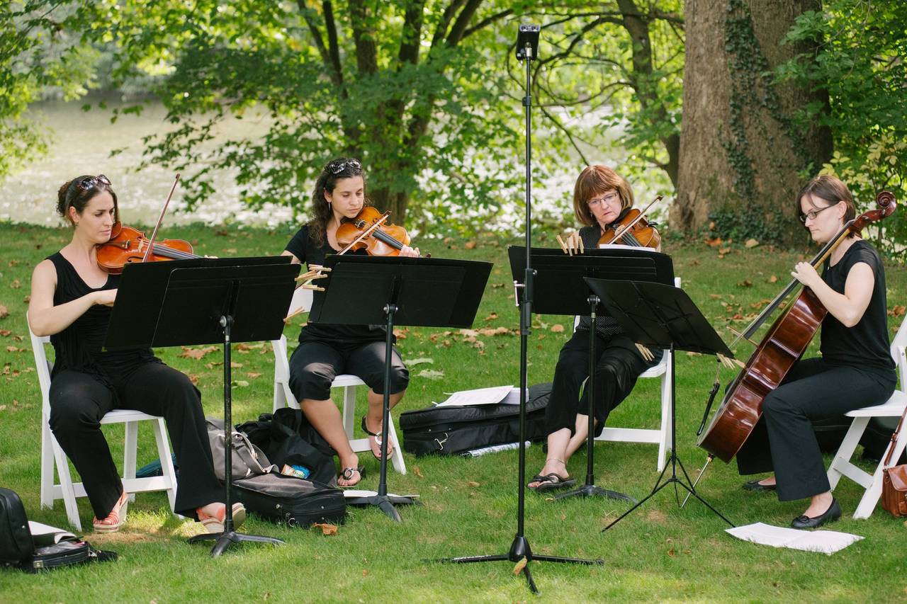 Browse Wedding Musician & Ceremony Music Near You - WeddingWire