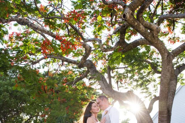 Karrie Porter Photography - Reviews, Photos & Deals 2026 - Key West, FL ...