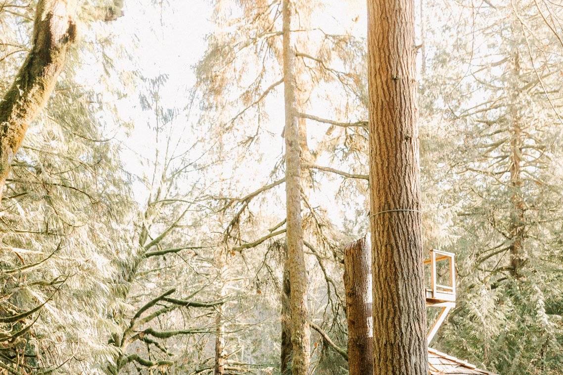 Treehouse Point - Reviews, Photos & Deals 2026 - Fall City, WA ...