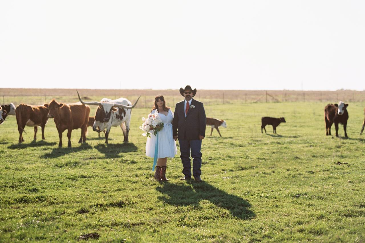 Summerfield at Tate Farms - Reviews, Photos & Deals 2026 - Rockwall, TX ...