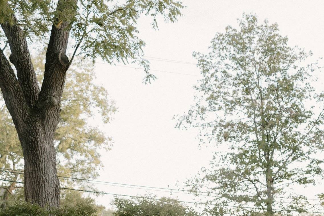 Benham's Grove - Reviews, Photos & Deals 2026 - Dayton, OH - WeddingWire