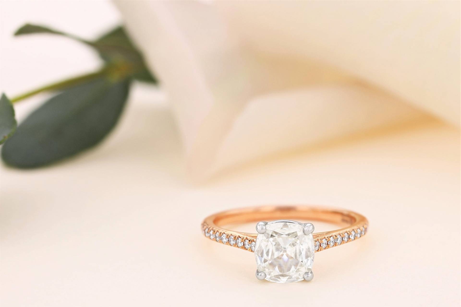 Borsheims Luxury Jewelry - Reviews, Photos & Deals 2026 - Omaha, NE ...