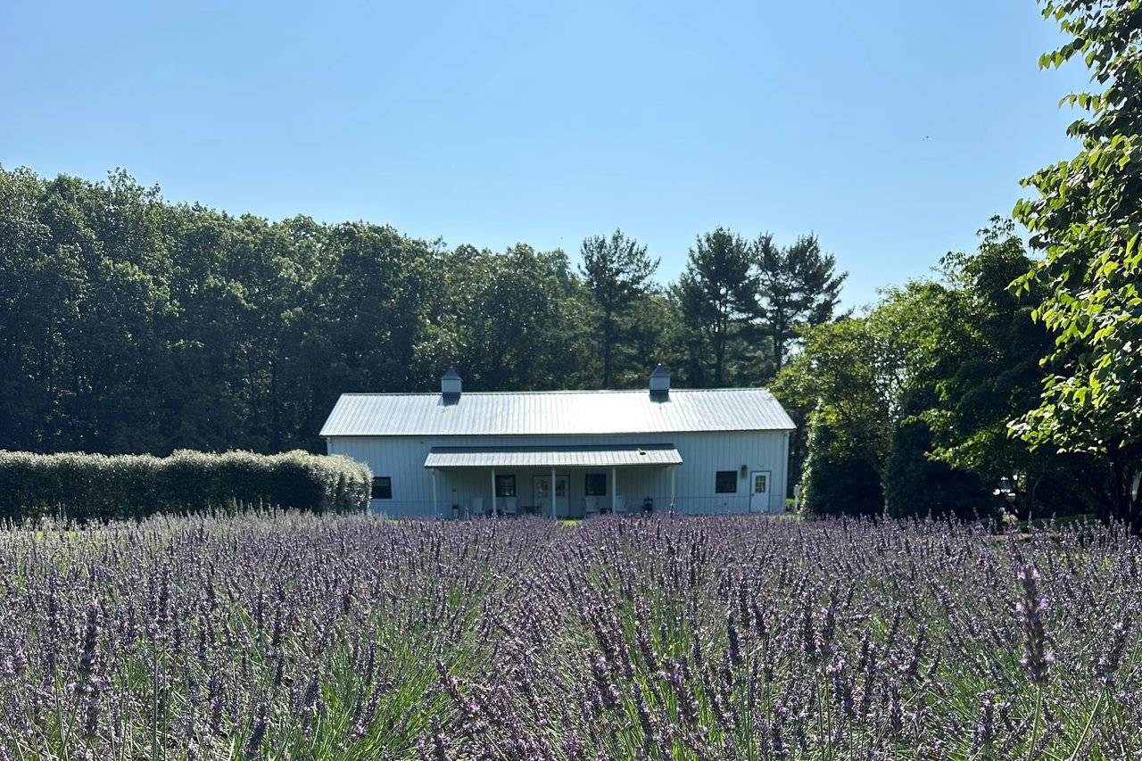 Stone Mill Acres - Reviews, Photos & Deals 2026 - Farmingdale, NJ ...