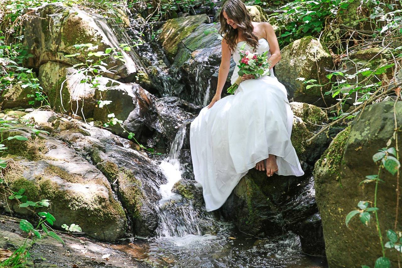 The Waterfall Shire Event Venue - Reviews, Photos & Deals 2026 ...