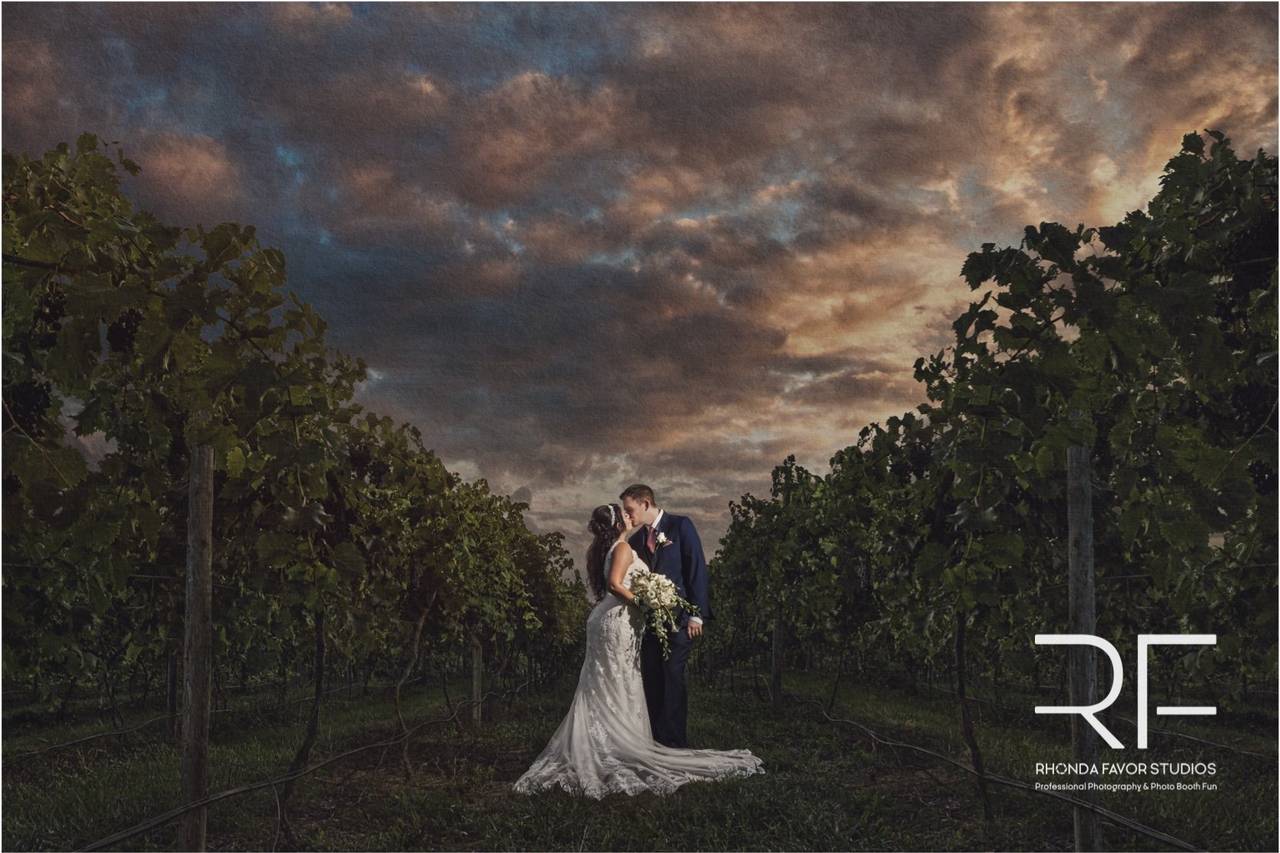 Rhonda Favor Studios Reviews - Troy, MO - 66 Reviews