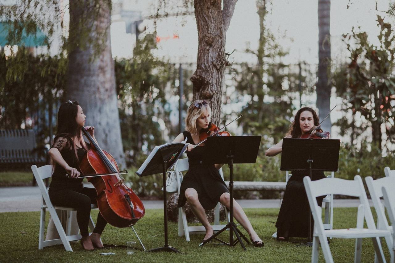 Browse Wedding Musician & Ceremony Music Near You - WeddingWire