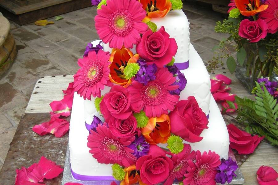 My Goodness Cakes - Reviews, Photos & Deals 2026 - Phoenix, AZ ...