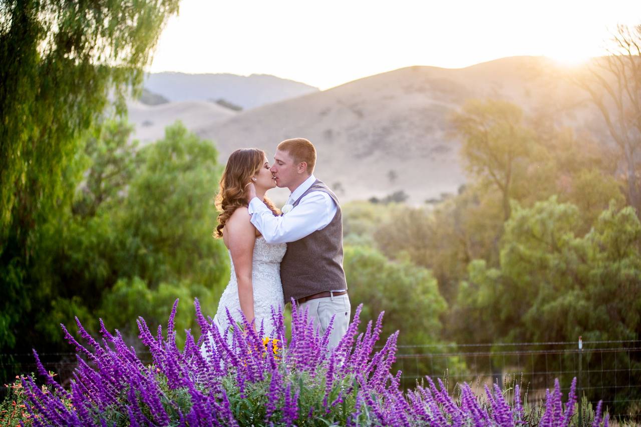Studio Lovejoy - Reviews, Photos & Deals 2026 - San Juan Bautista, CA ...