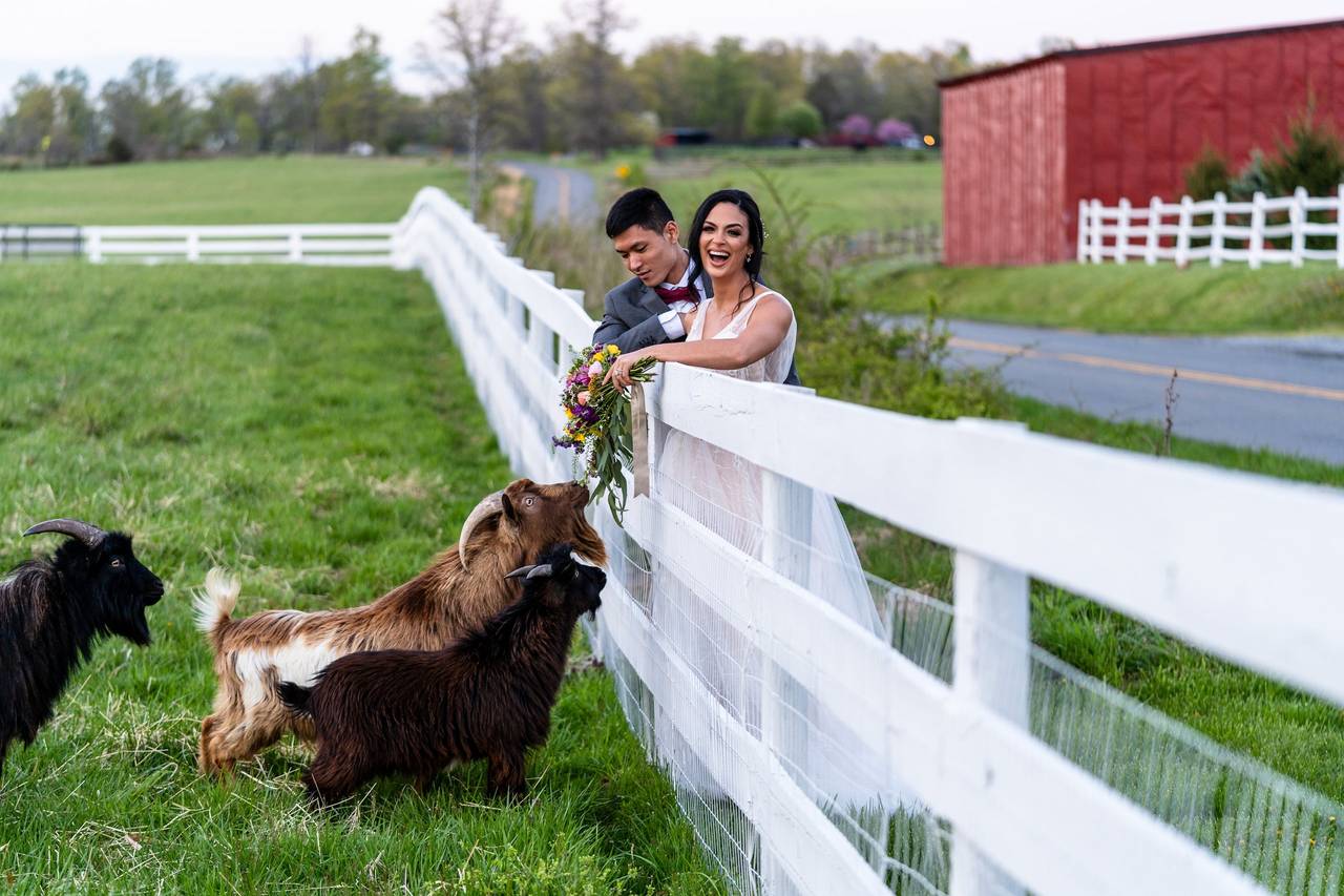 East Lynn Farm - Reviews, Photos & Deals 2026 - Round Hill, VA ...
