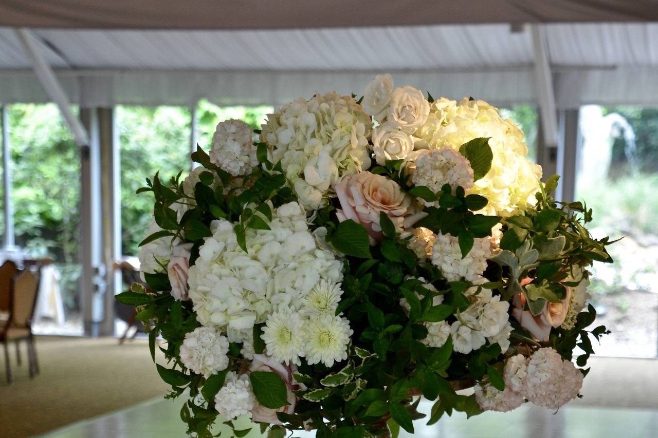 Florist Berkeley Heights Nj