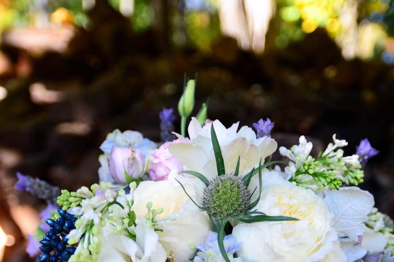 Florist Berkeley Heights Nj