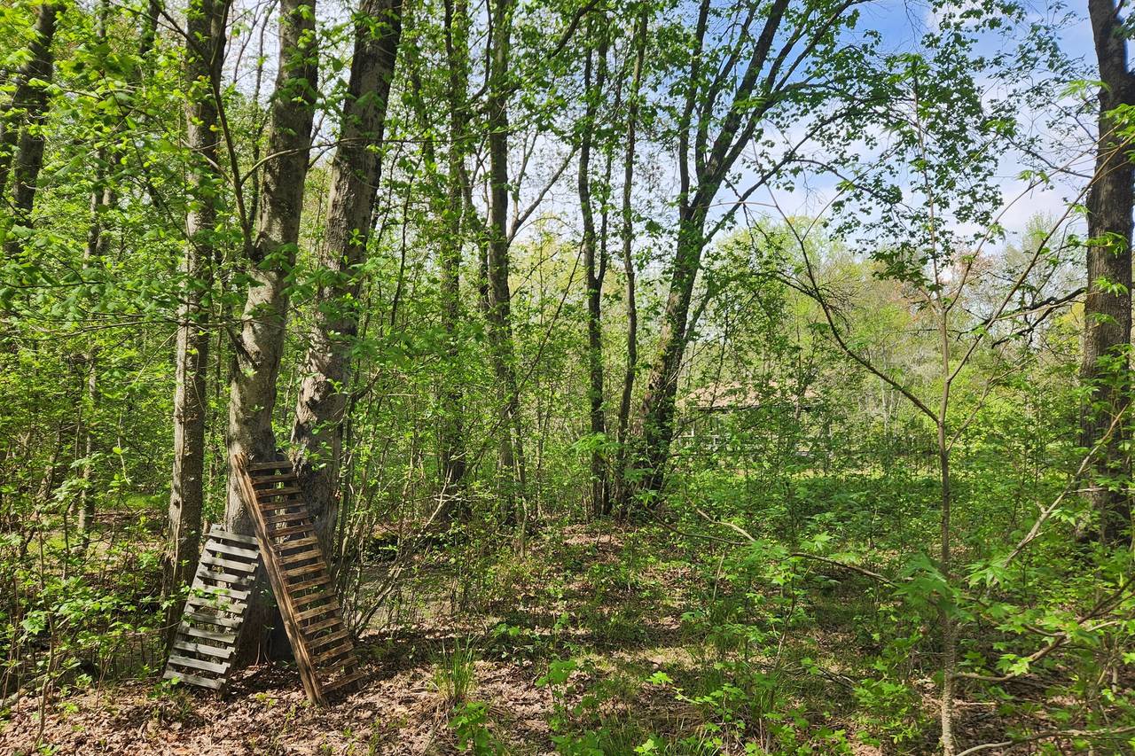 The Winding Woods Venue - Reviews, Photos & Deals 2026 - Clayton, NJ ...
