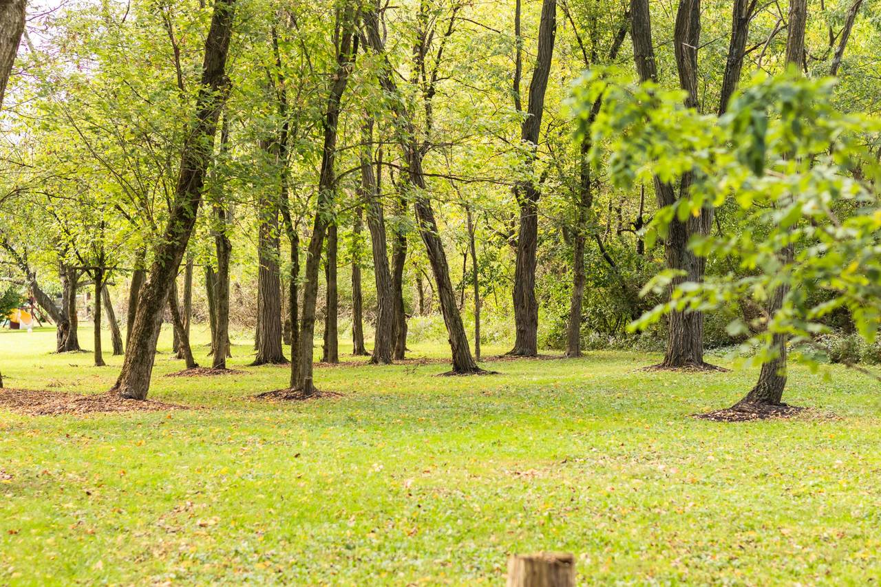 Schaefer Farms - Barn & Farm Weddings - Burbank, OH - WeddingWire