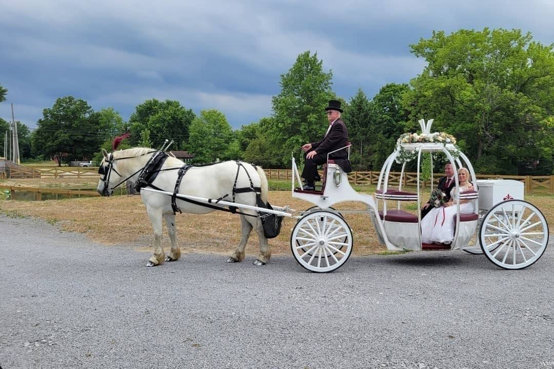 Carriage Limousine Service - Horse Drawn Carriages - Reviews, Photos ...