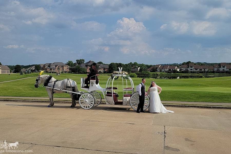 Carriage Limousine Service - Horse Drawn Carriages - Reviews, Photos ...