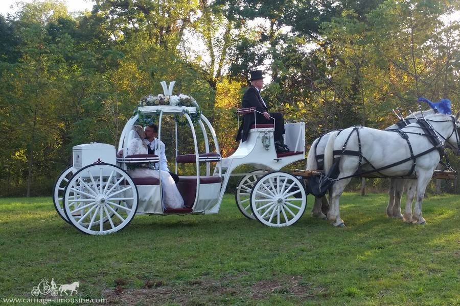Carriage Limousine Service - Horse Drawn Carriages - Reviews, Photos ...