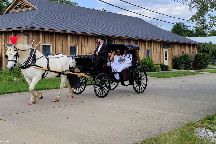 Carriage Limousine Service - Horse Drawn Carriages - Reviews, Photos ...
