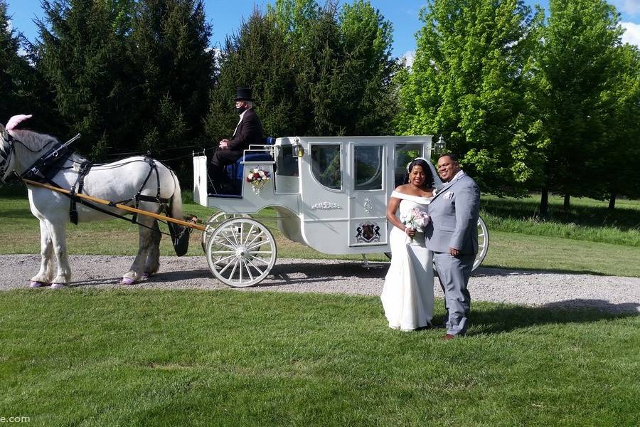 Carriage Limousine Service - Horse Drawn Carriages - Wedding Limos ...