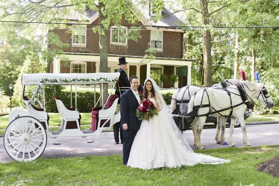 Carriage Limousine Service - Horse Drawn Carriages - Reviews, Photos ...