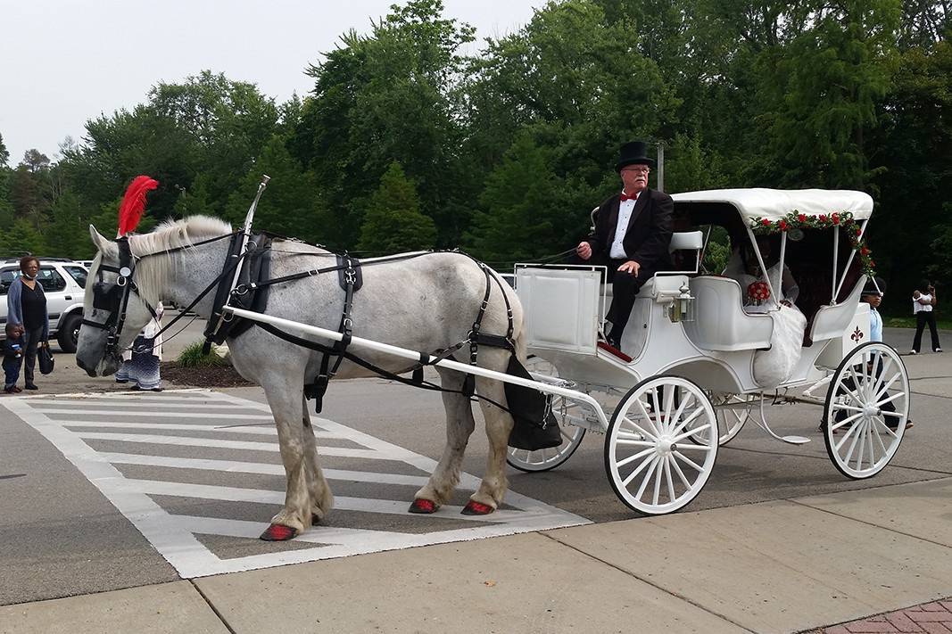 Carriage Limousine Service - Horse Drawn Carriages - Transportation ...