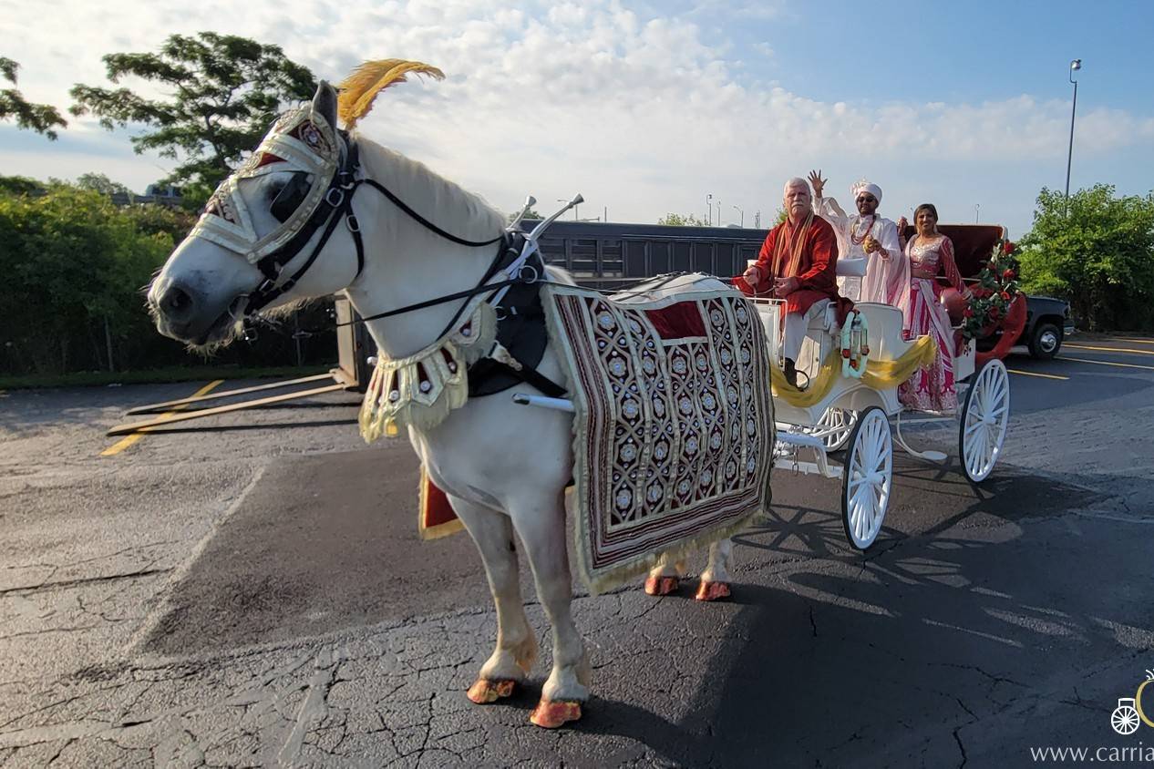 Carriage Limousine Service - Horse Drawn Carriages - Reviews, Photos ...