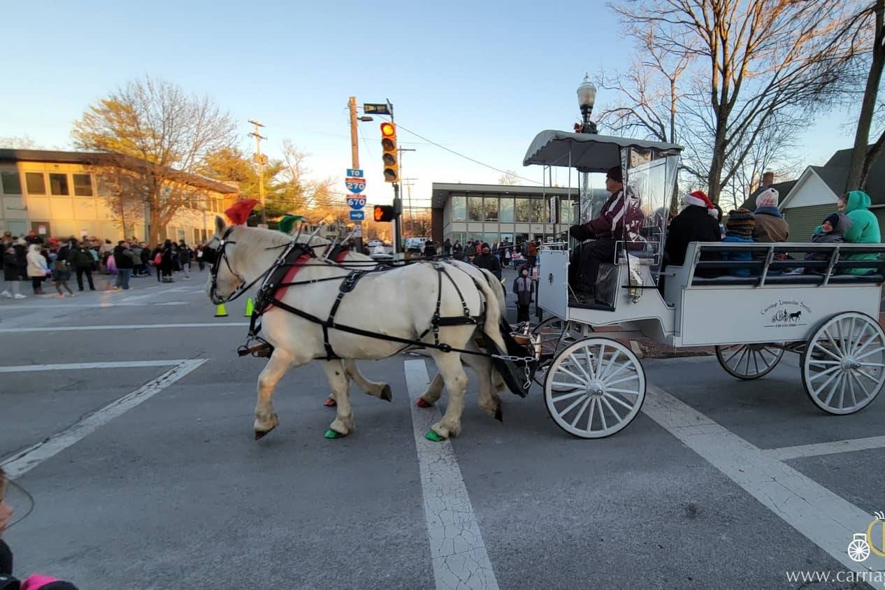 Carriage Limousine Service - Horse Drawn Carriages - Reviews, Photos ...