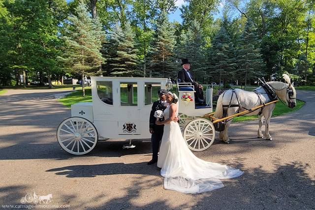 Carriage Limousine Service - Horse Drawn Carriages - Reviews, Photos ...