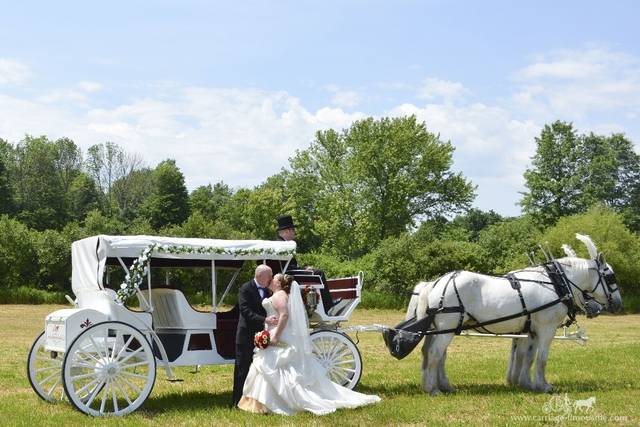 Carriage Limousine Service - Horse Drawn Carriages - Transportation ...