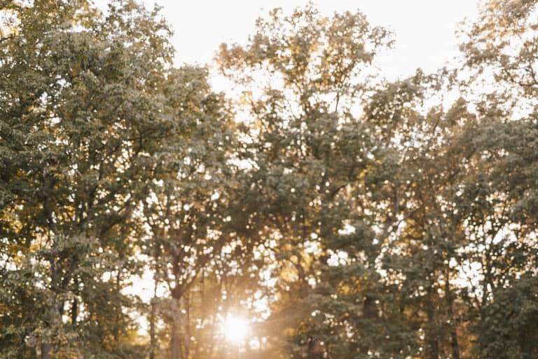 Camp Hidden Valley at Deer Creek Preserve - Park & Outdoor Weddings ...