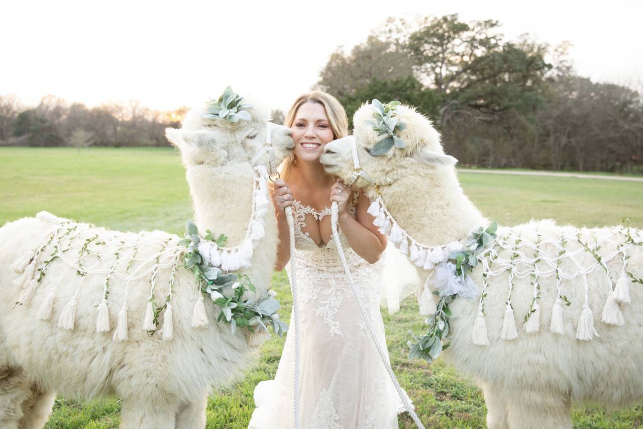 Finger Lakes Treehouse & Spa - Venue - Sodus, NY - WeddingWire