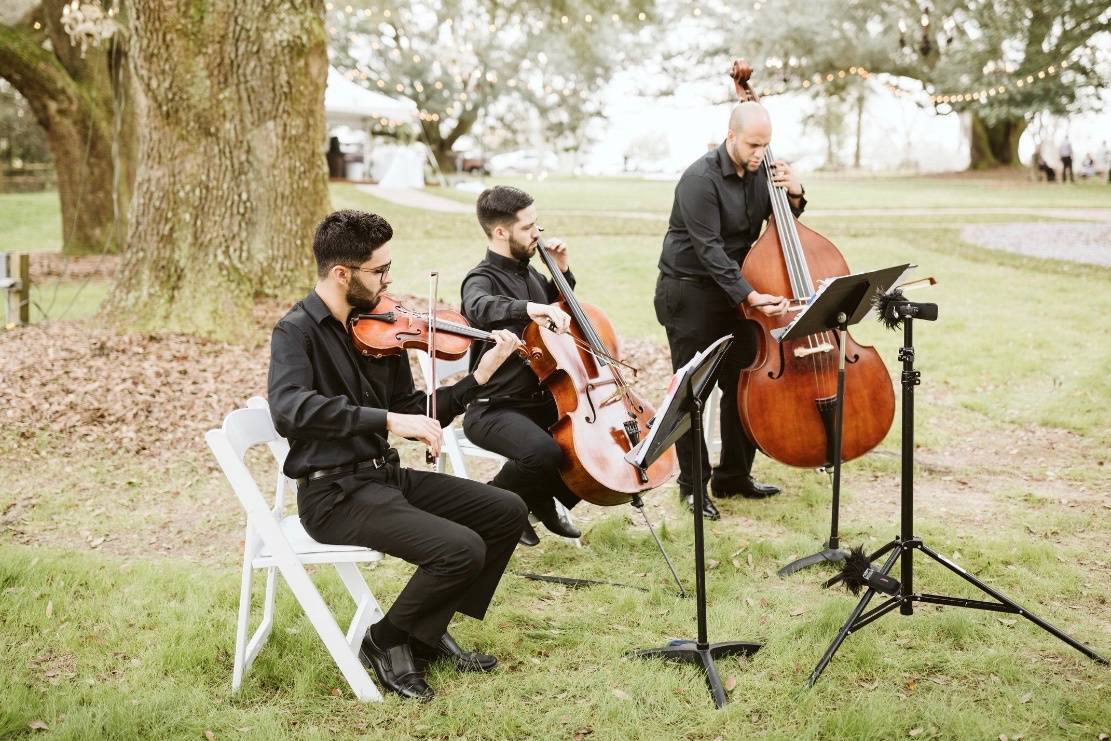 Browse Wedding Musician & Ceremony Music Near You - WeddingWire