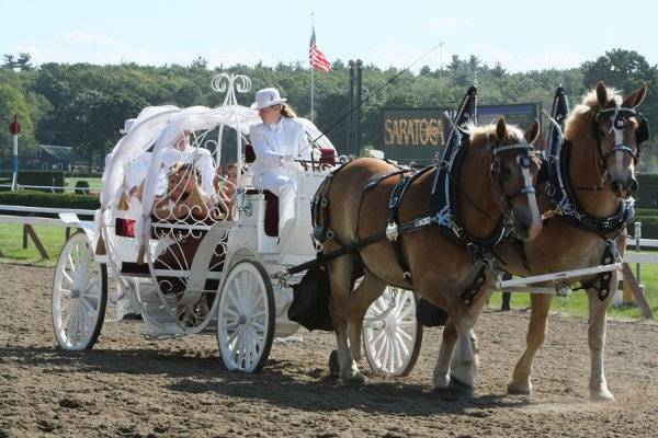 Michael Johnson Photography - Reviews, Photos & Deals 2026 - Albany, NY ...