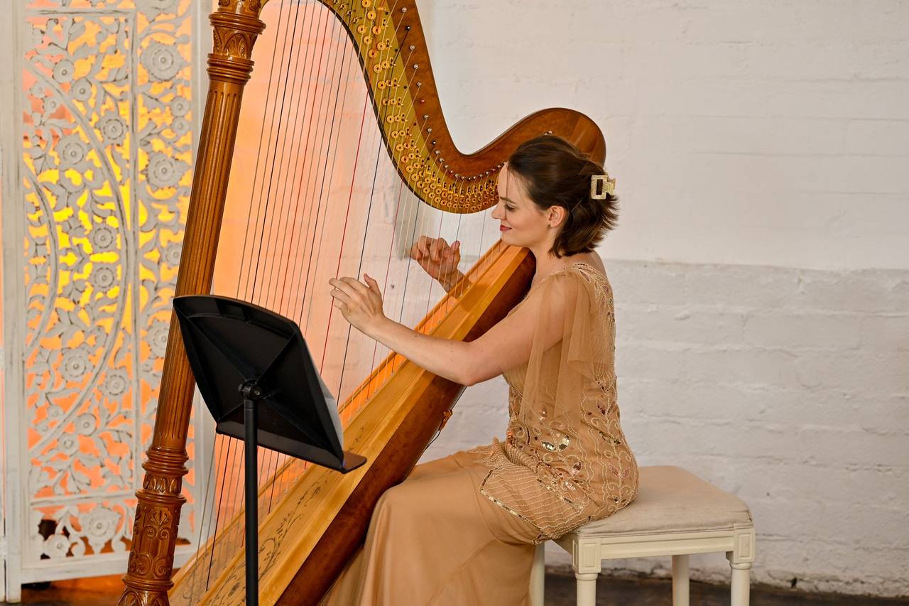 Modern Fairytale Wedding Harpist Reviews - Las Vegas, NV - 21 Reviews