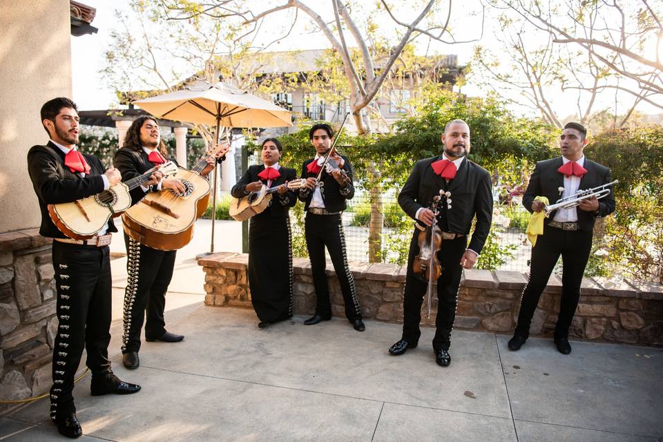 Mariachi Serenade Ceremony Music San Diego CA WeddingWire Mariachi Serenade Ceremony Music San Diego CA WeddingWire