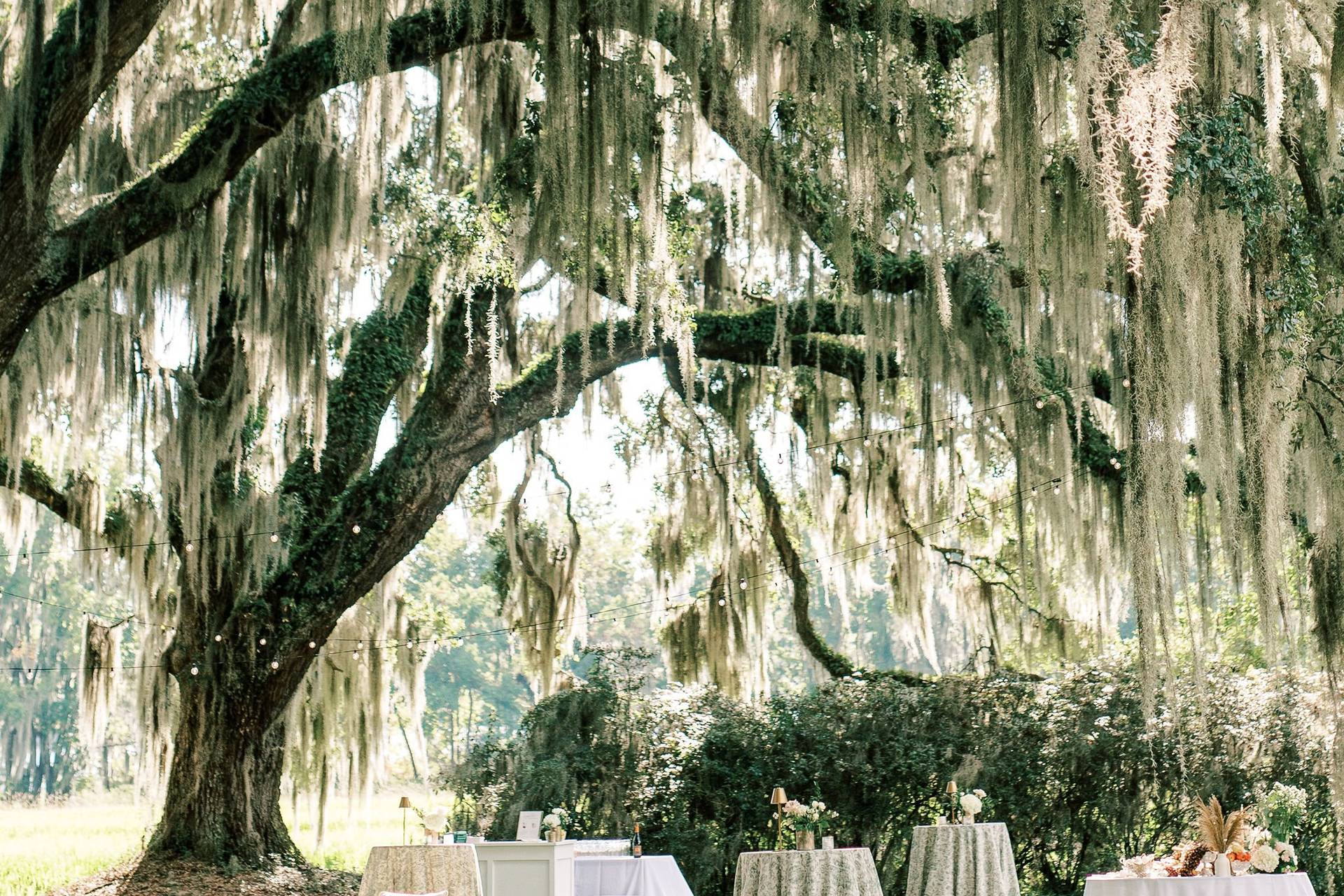 Cotton Hall - Reviews, Photos & Deals 2026 - Yemassee, SC - WeddingWire
